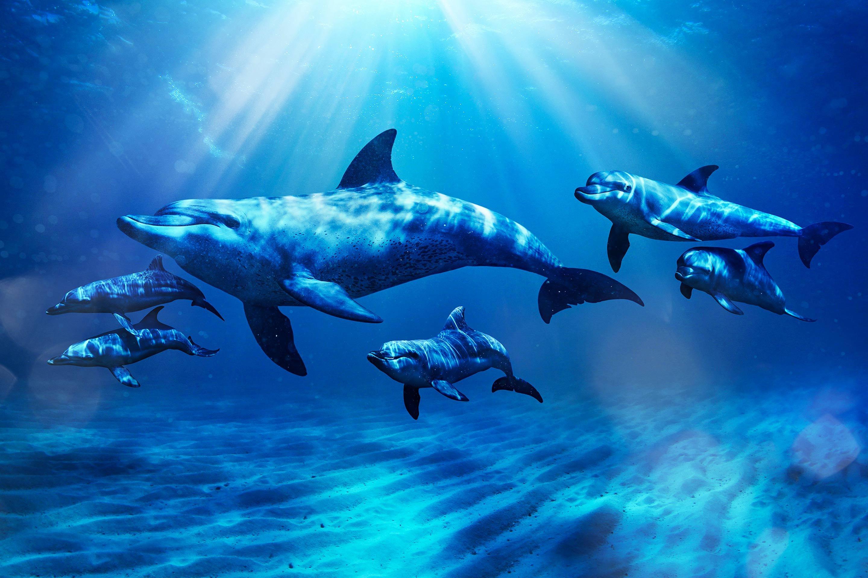 Atlantis Aquaventure Waterpark Guide (with Park Map)